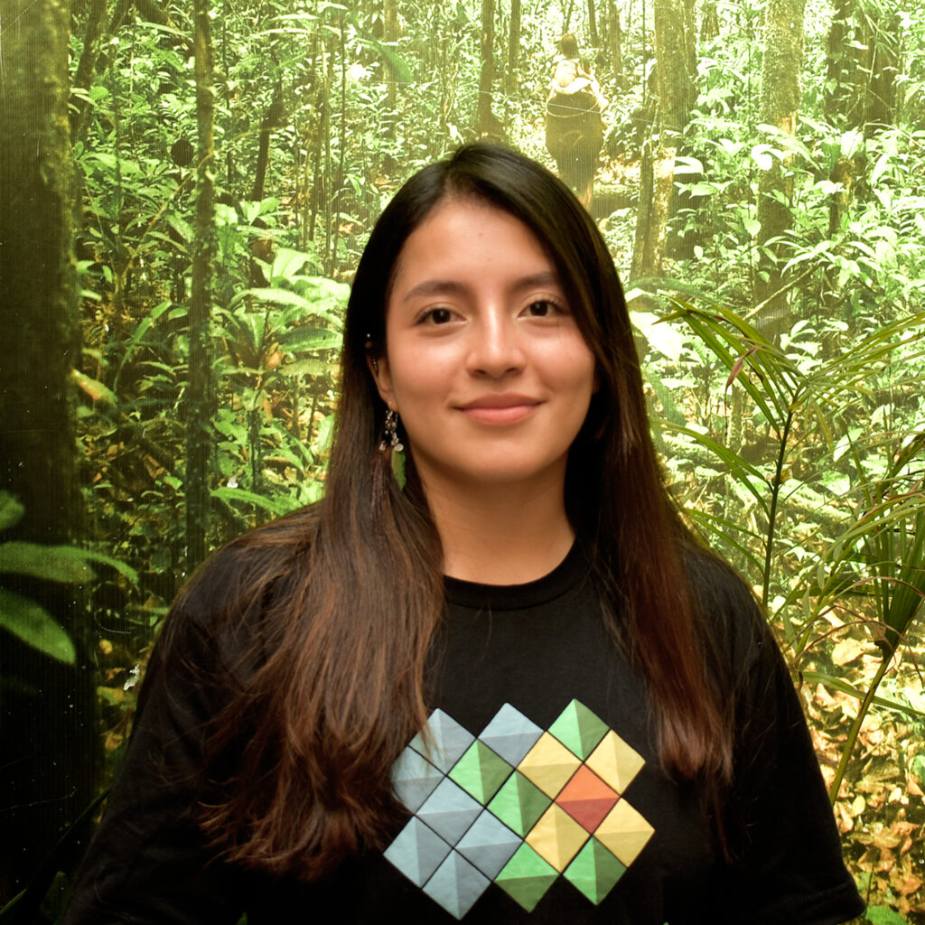MapBiomas Colombia