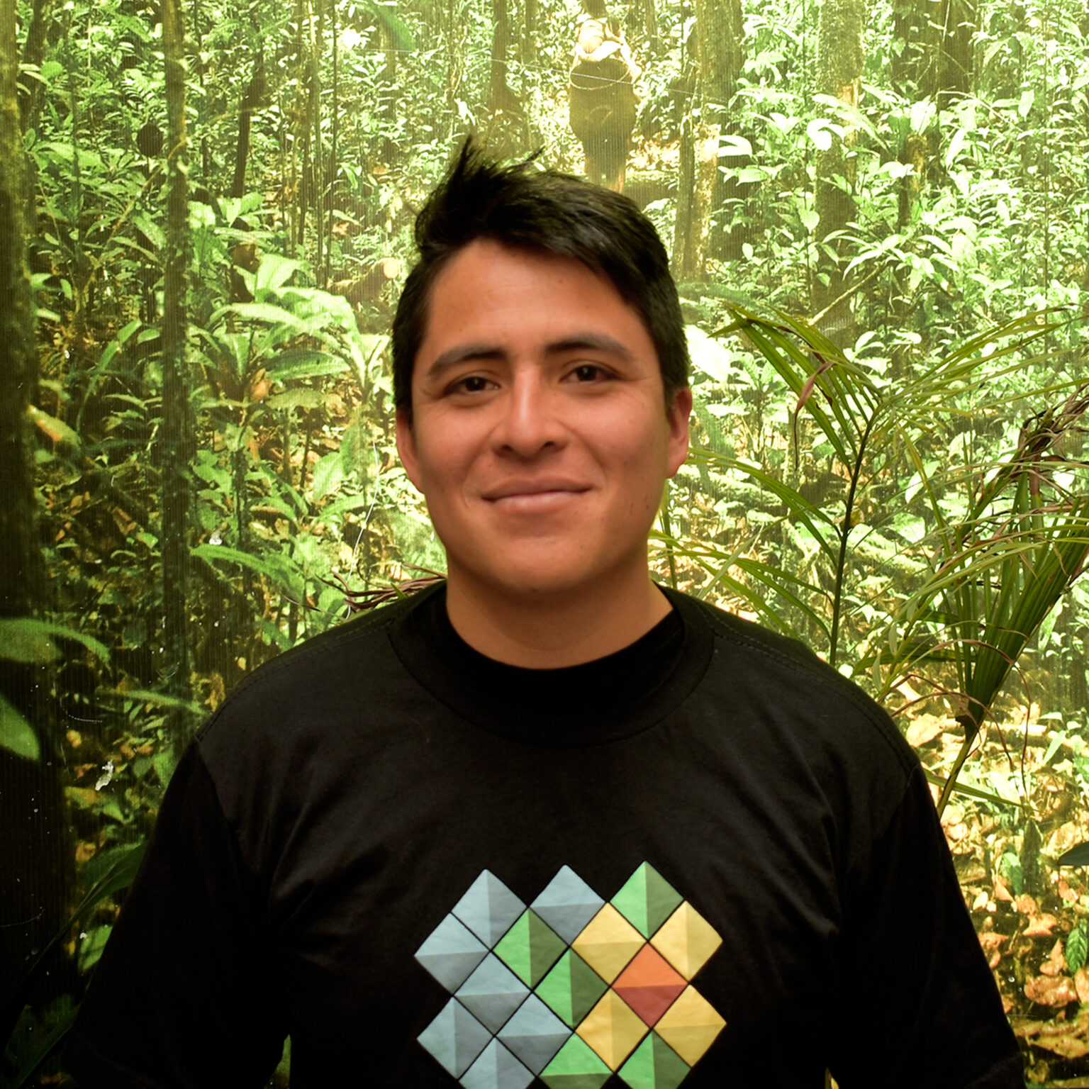 MapBiomas Colombia